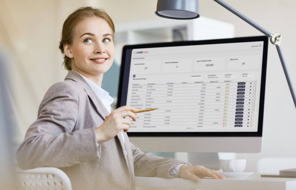 CANEI | Finanzplanung, Controlling und Analysen